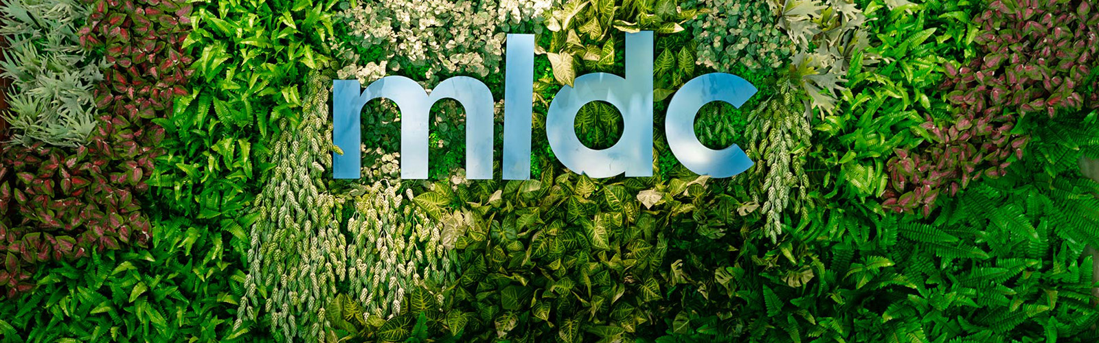About Us - MLDC