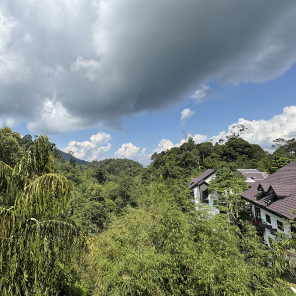 Ramin Apartment - MLDC